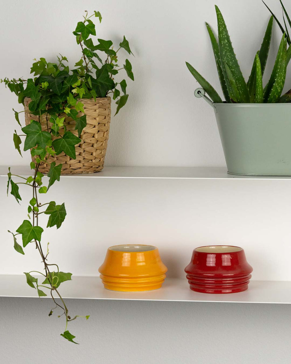 Portrait Cup & Flower Pot - Magnesita