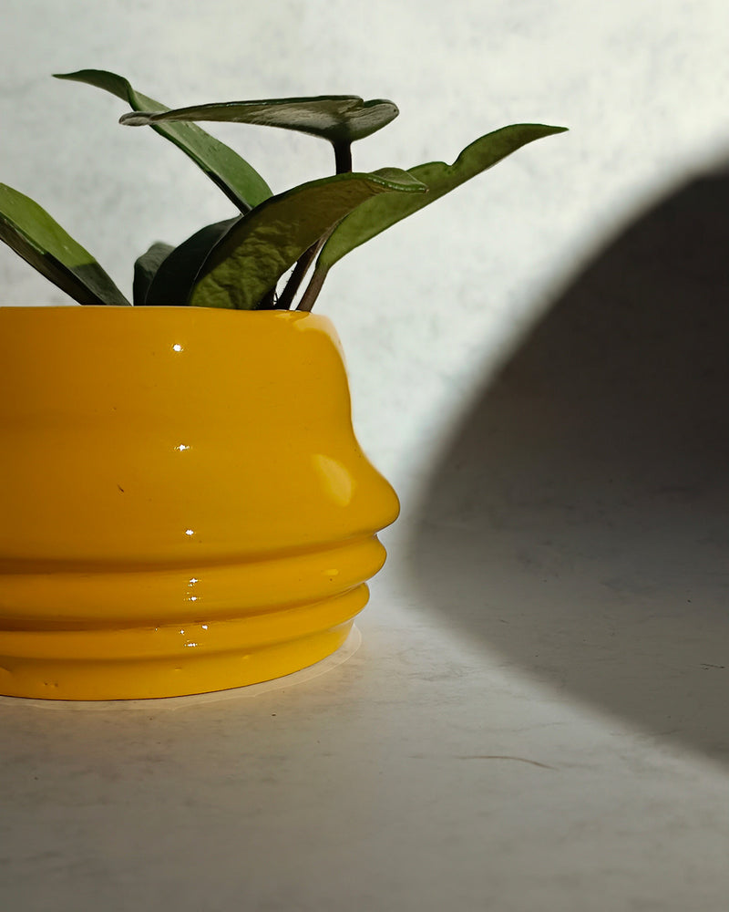 Portrait Cup & Flower Pot - Magnesita