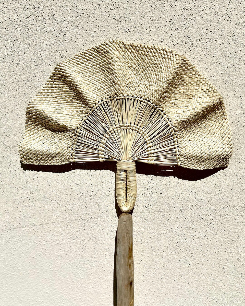 Pacoa Fan