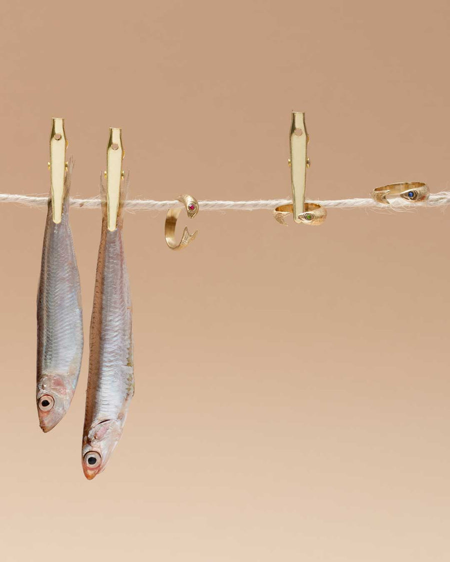 Anchovy Ring - Bona Calvi Miniature